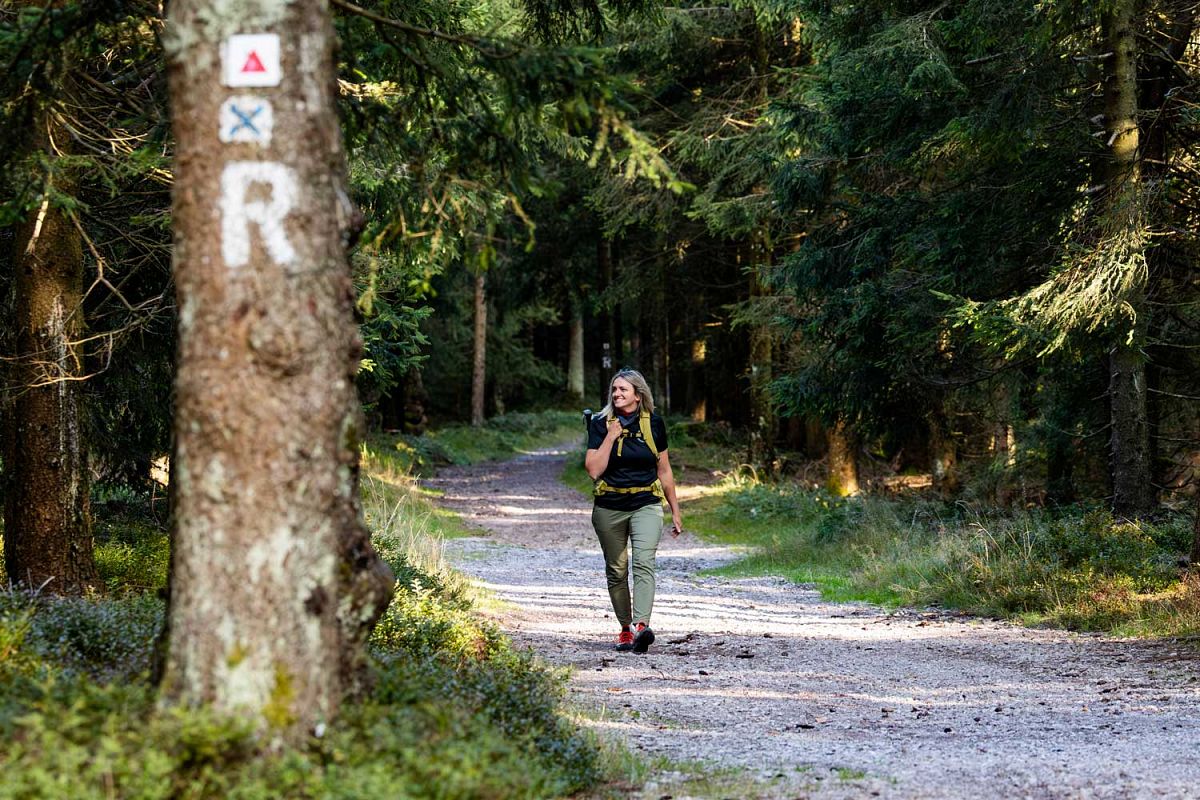 Karte für Rennsteig, Deutschlands Schönste Wanderwege
