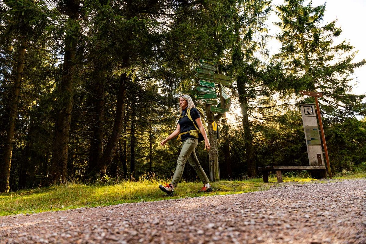 Karte für Rennsteig, Deutschlands Schönste Wanderwege